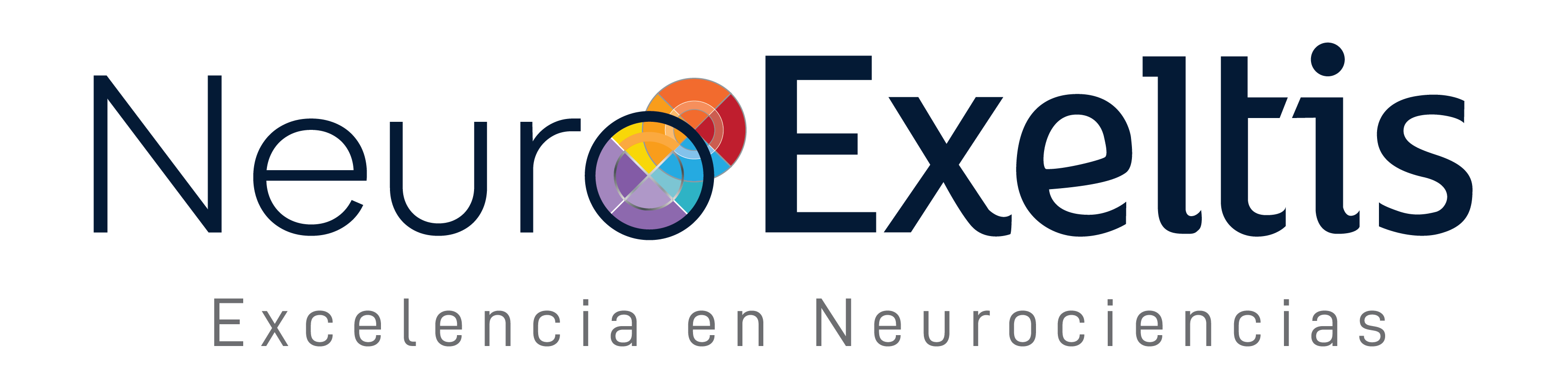 Login Customizer - Capacitación y Actualización en Neurociencias ...